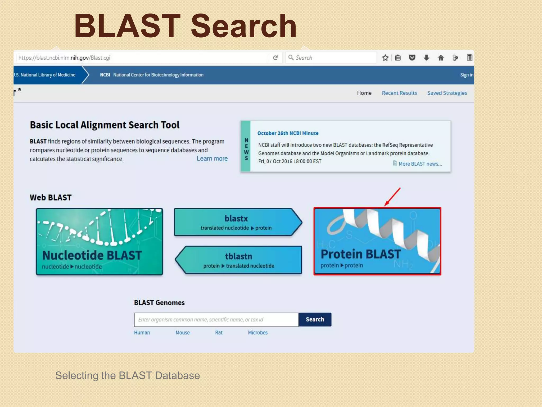 BLAST (Basic local alignment search Tool) | PPTX