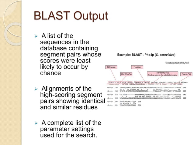BLAST (Basic local alignment search Tool) | PPTX