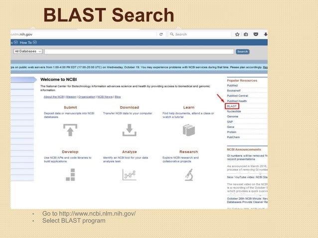 BLAST (Basic local alignment search Tool) | PPTX