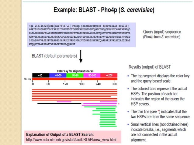 BLAST (Basic local alignment search Tool) | PPTX