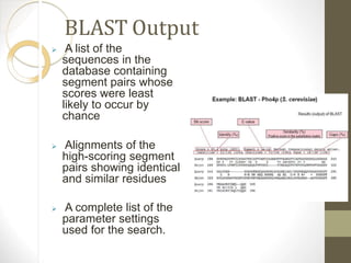 Blast | PPT