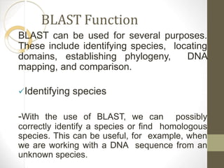 Blast | PPT