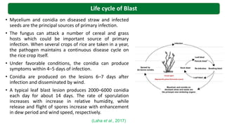 Rice Blast Diseases - An Introduction and overview | PPTX