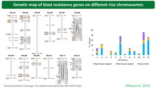 Rice Blast Diseases - An Introduction and overview | PPTX