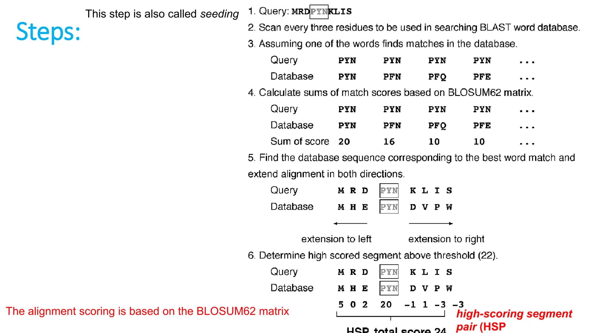Database similarity searching blast and fasta | PPTX
