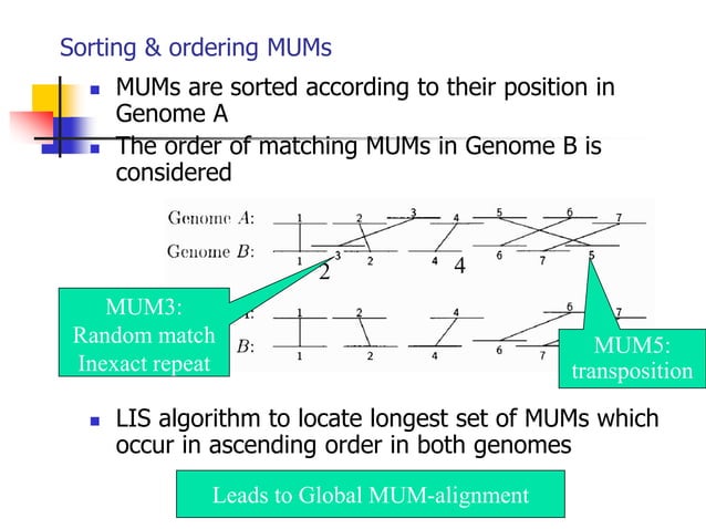 Basic Local Alignment Search Tool - PPTs | PPT