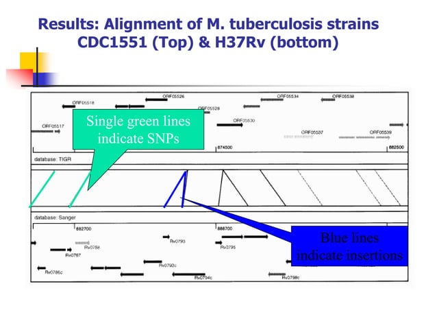 Basic Local Alignment Search Tool - PPTs | PPT