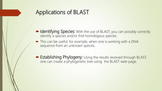 BLAST Search tool | PPT