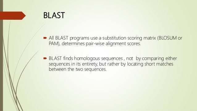 BLAST Search tool