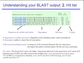 Basic Local Alignment Tool (BLAST) bioinformatics | PPT