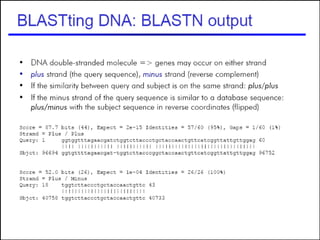 Basic Local Alignment Tool (BLAST) bioinformatics | PPT