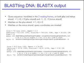 Basic Local Alignment Tool (BLAST) bioinformatics | PPT