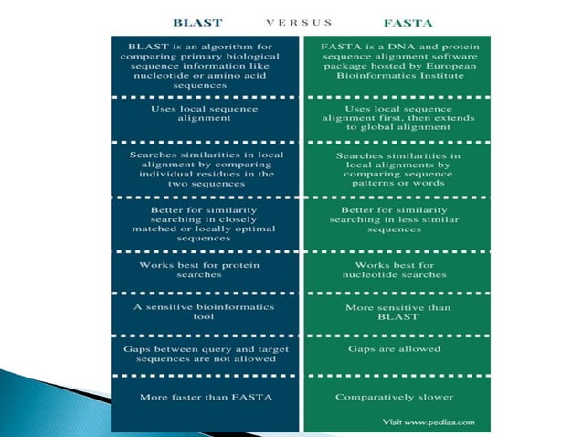 BLAST AND FASTA.pptx | Databases | Computer Software and Applications