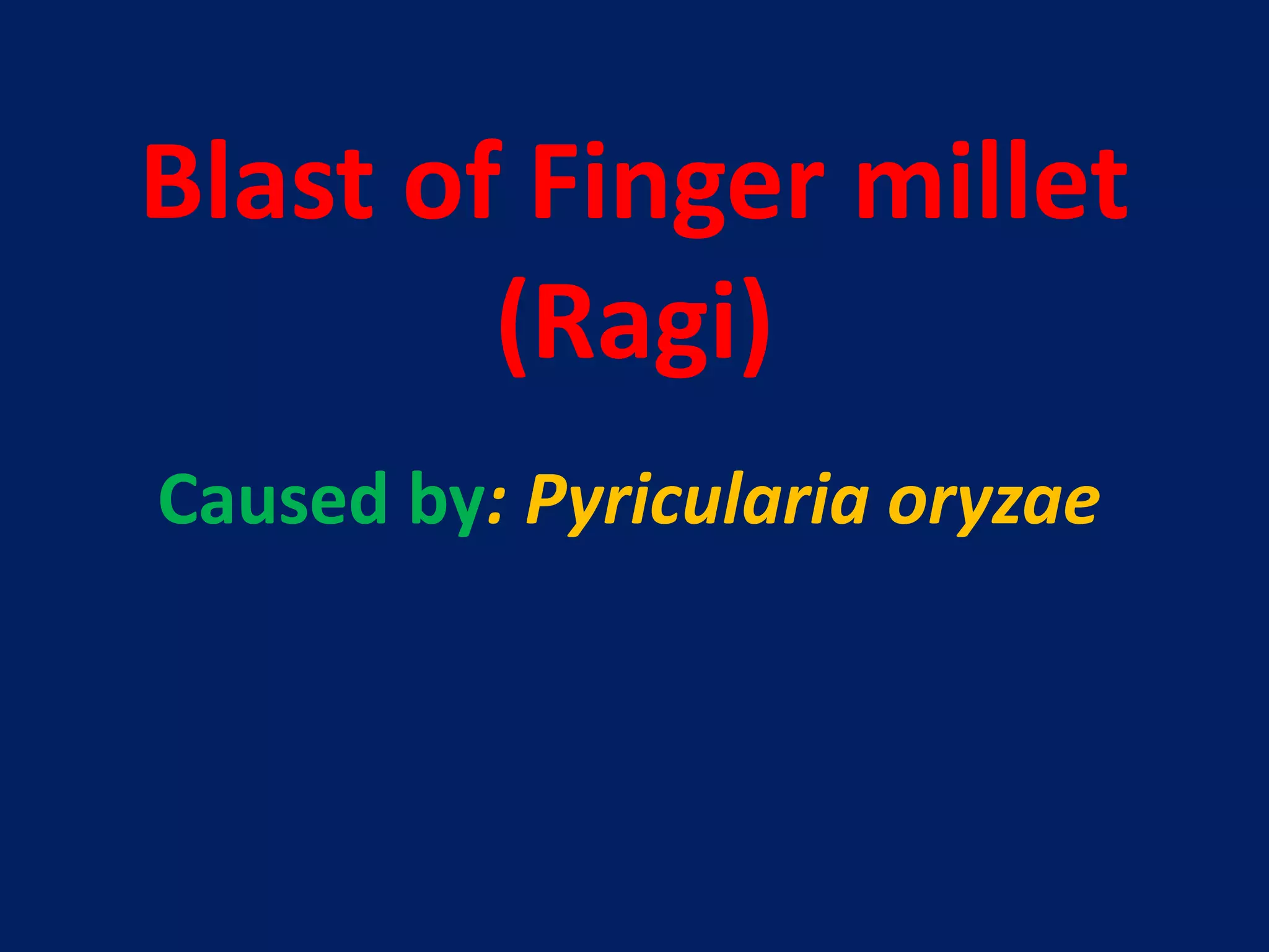 Blast and leaf spot of finger millet (RAGI) | PPTX