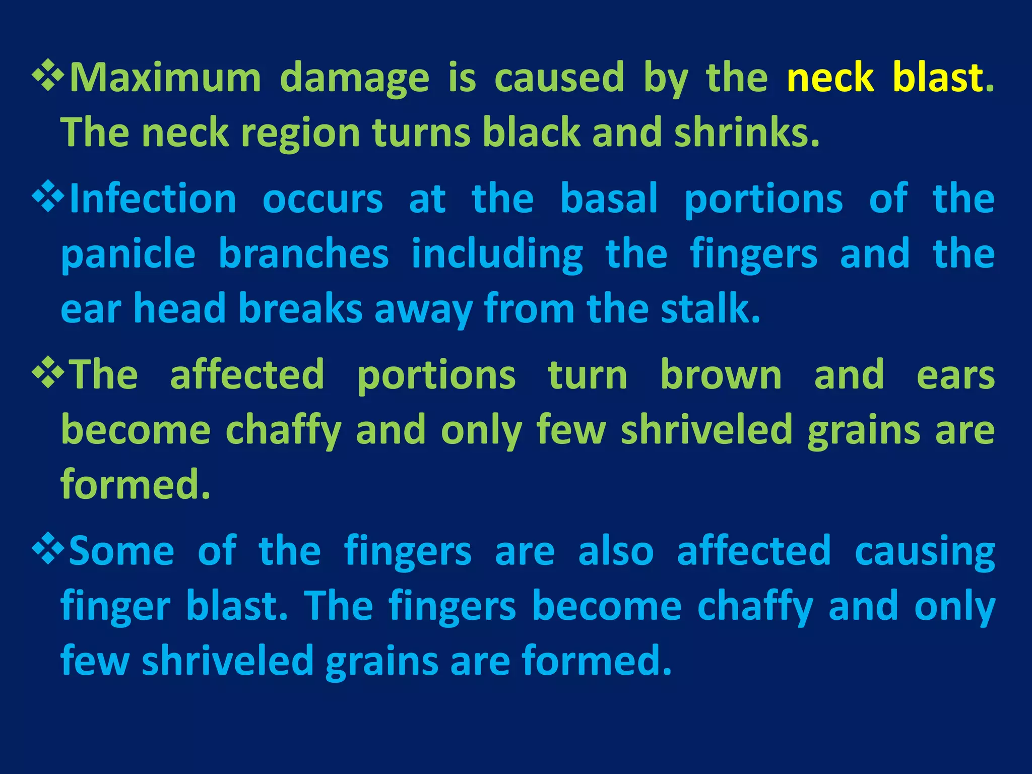 Blast and leaf spot of finger millet (RAGI) | PPTX