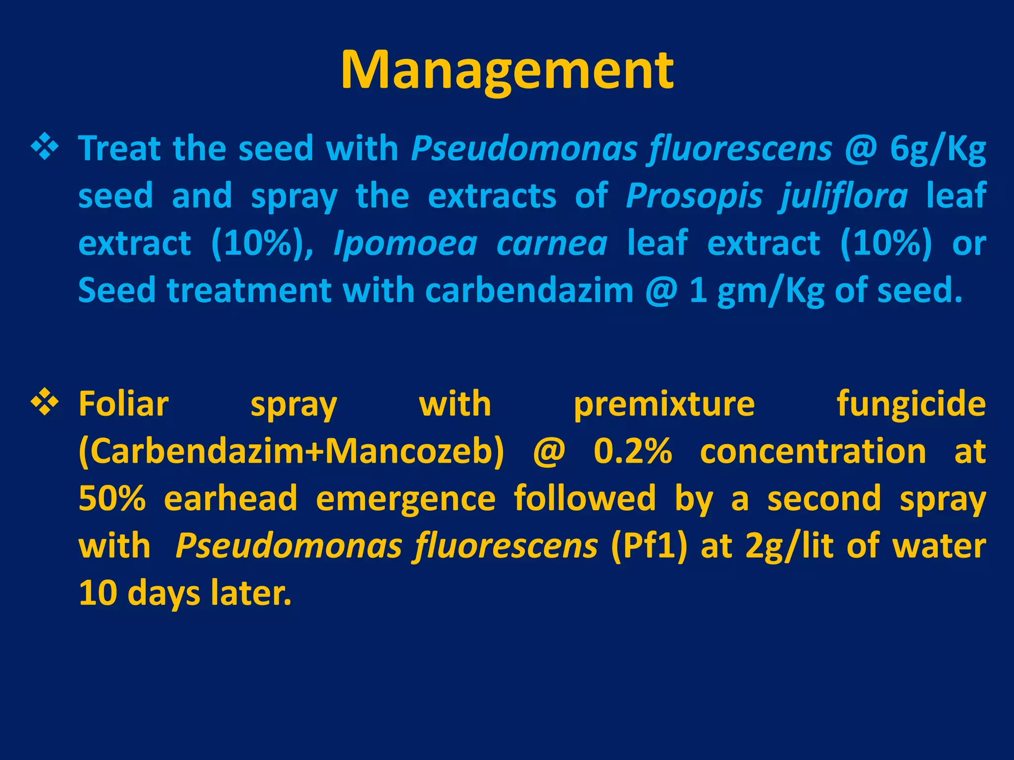Blast and leaf spot of finger millet (RAGI) | PPTX