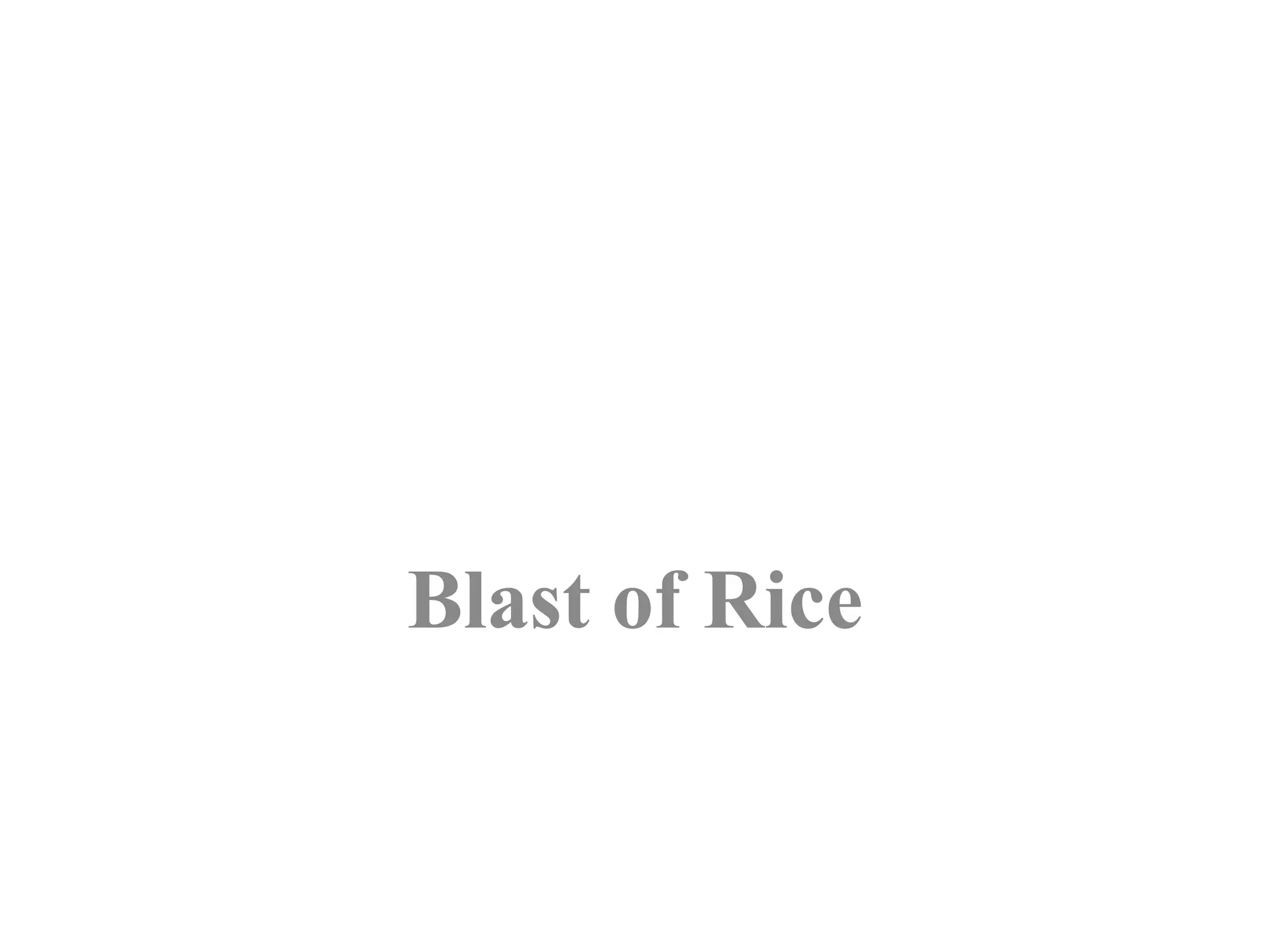 Rice blast, Rust of wheat and downy mildew | PPTX