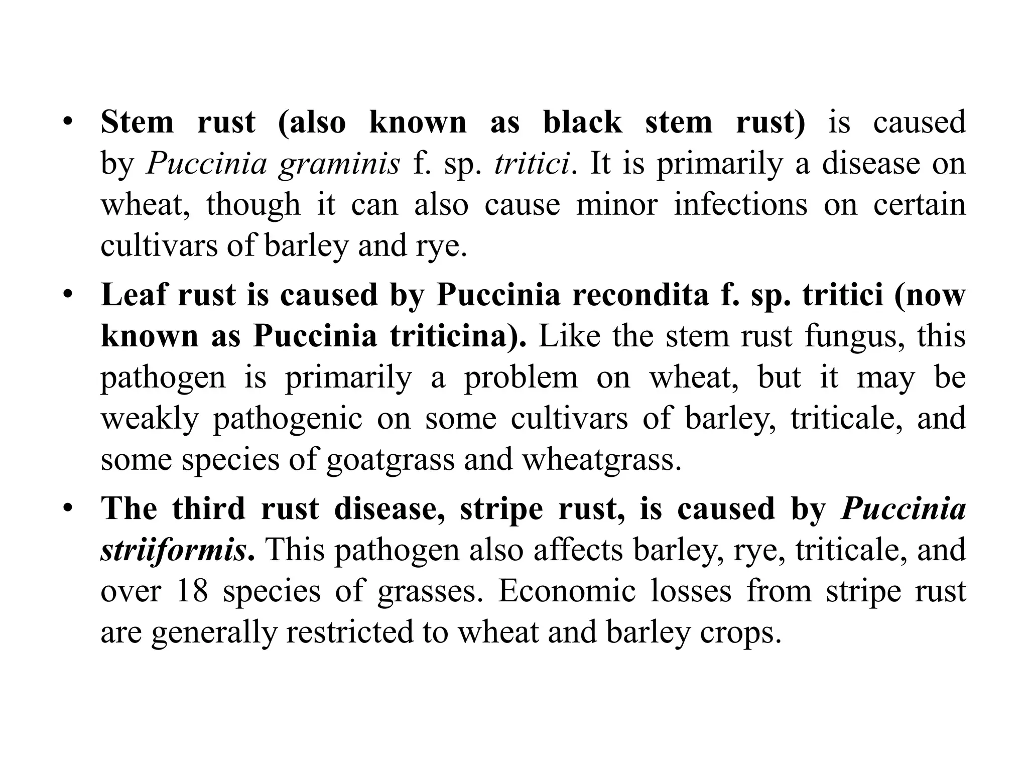 Rice blast, Rust of wheat and downy mildew | PPTX