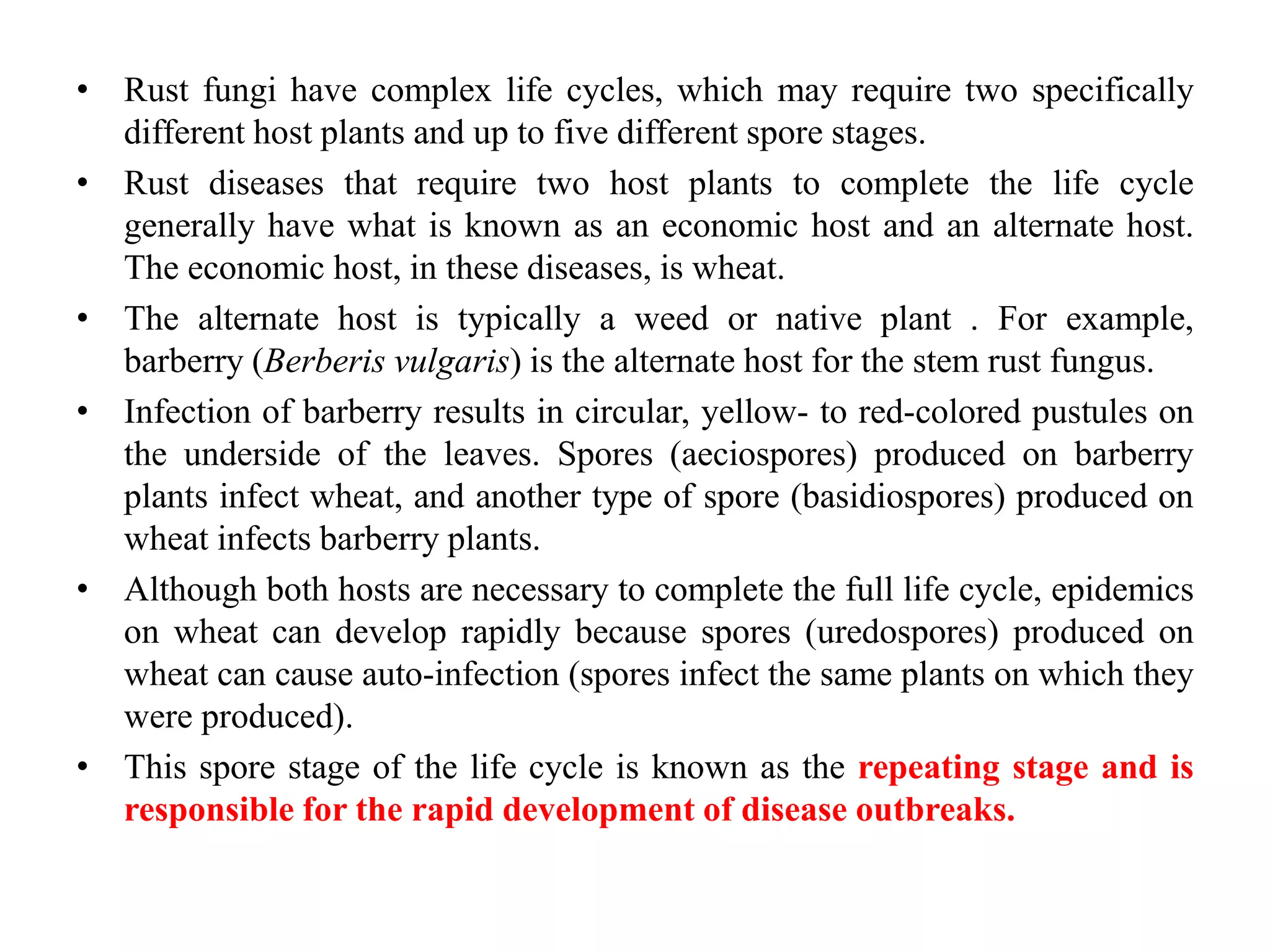 Rice blast, Rust of wheat and downy mildew | PPTX