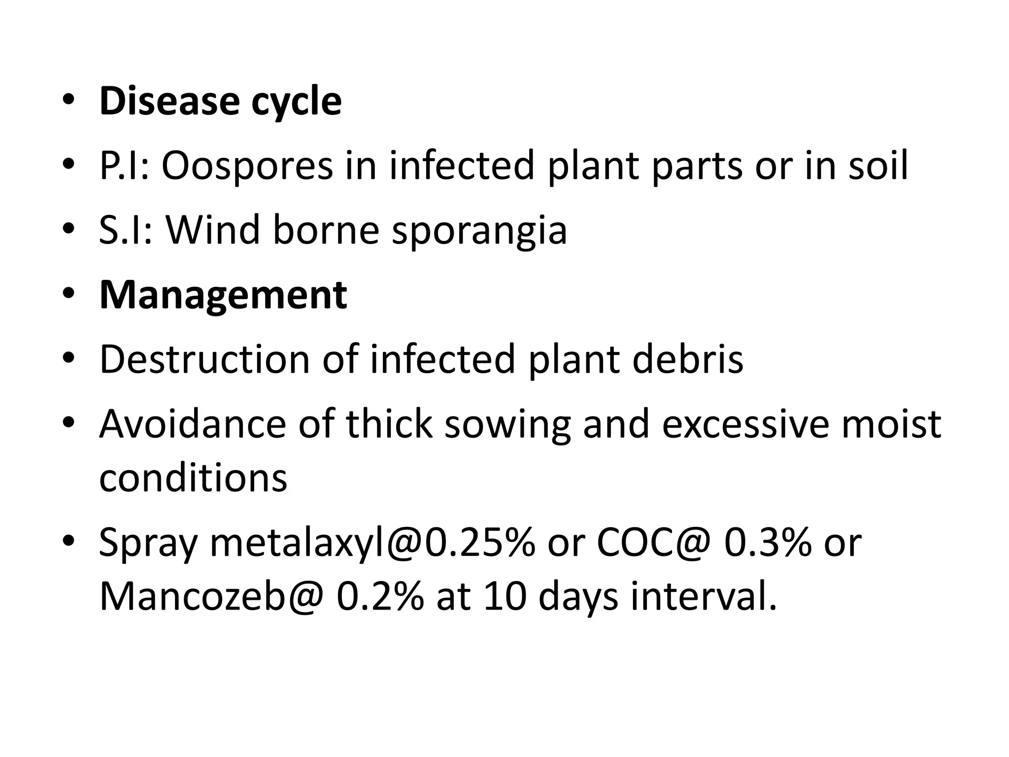 Rice blast, Rust of wheat and downy mildew | PPTX