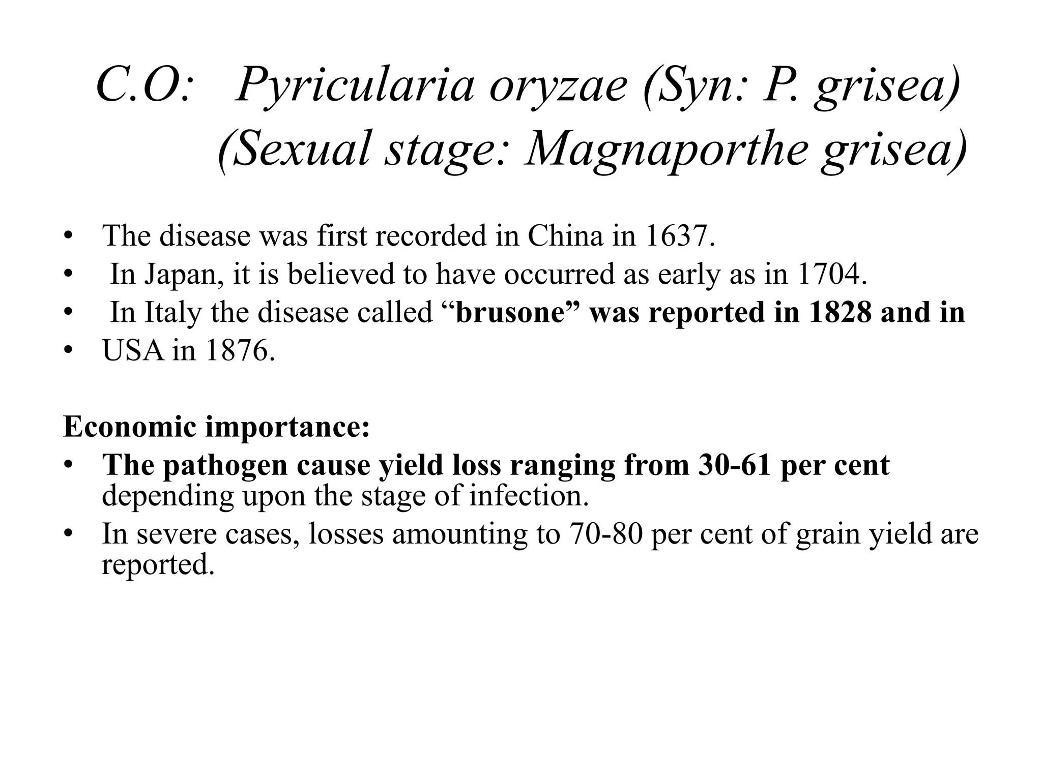 Rice blast, Rust of wheat and downy mildew | PPTX