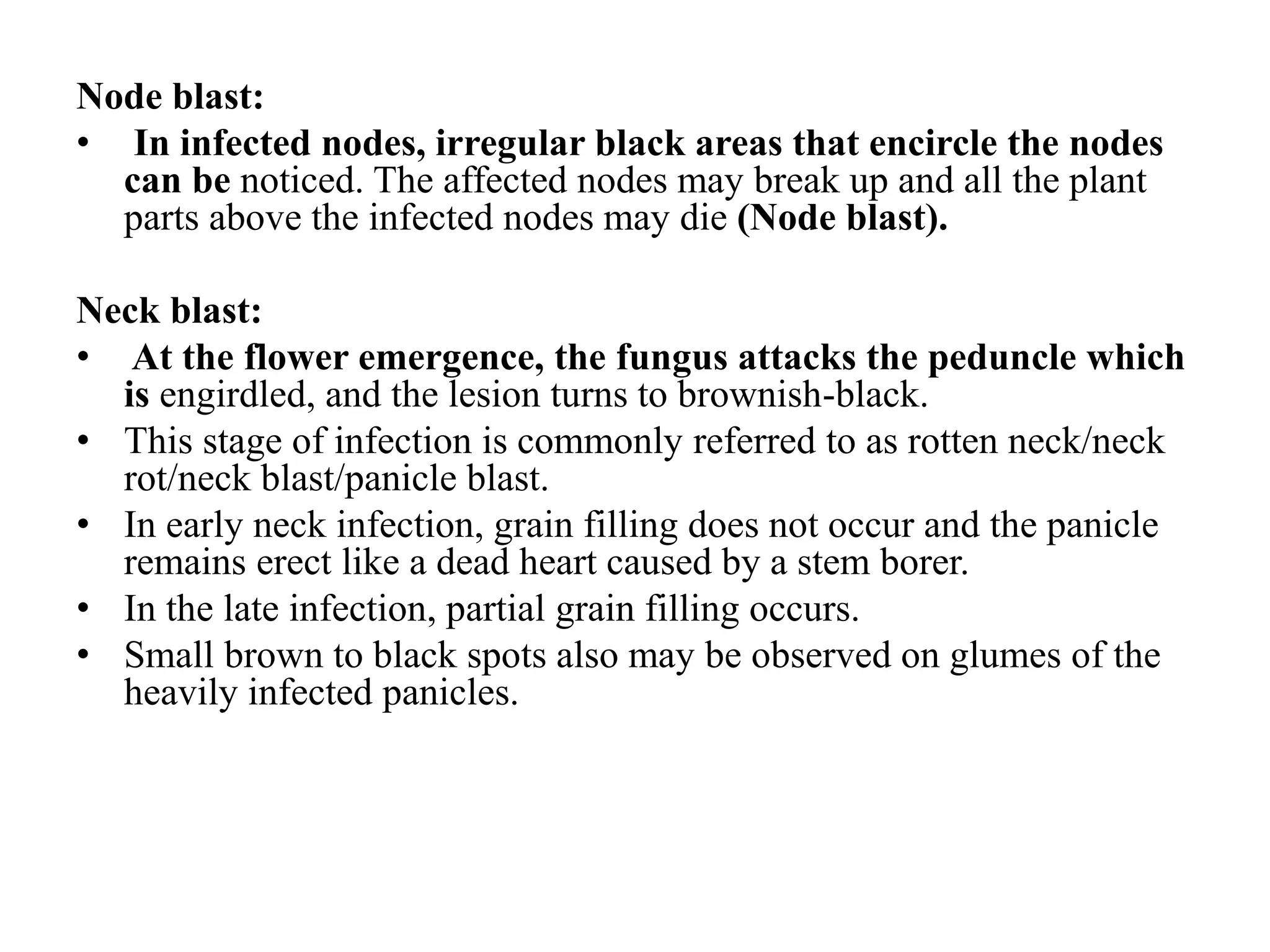 Rice blast, Rust of wheat and downy mildew | PPTX