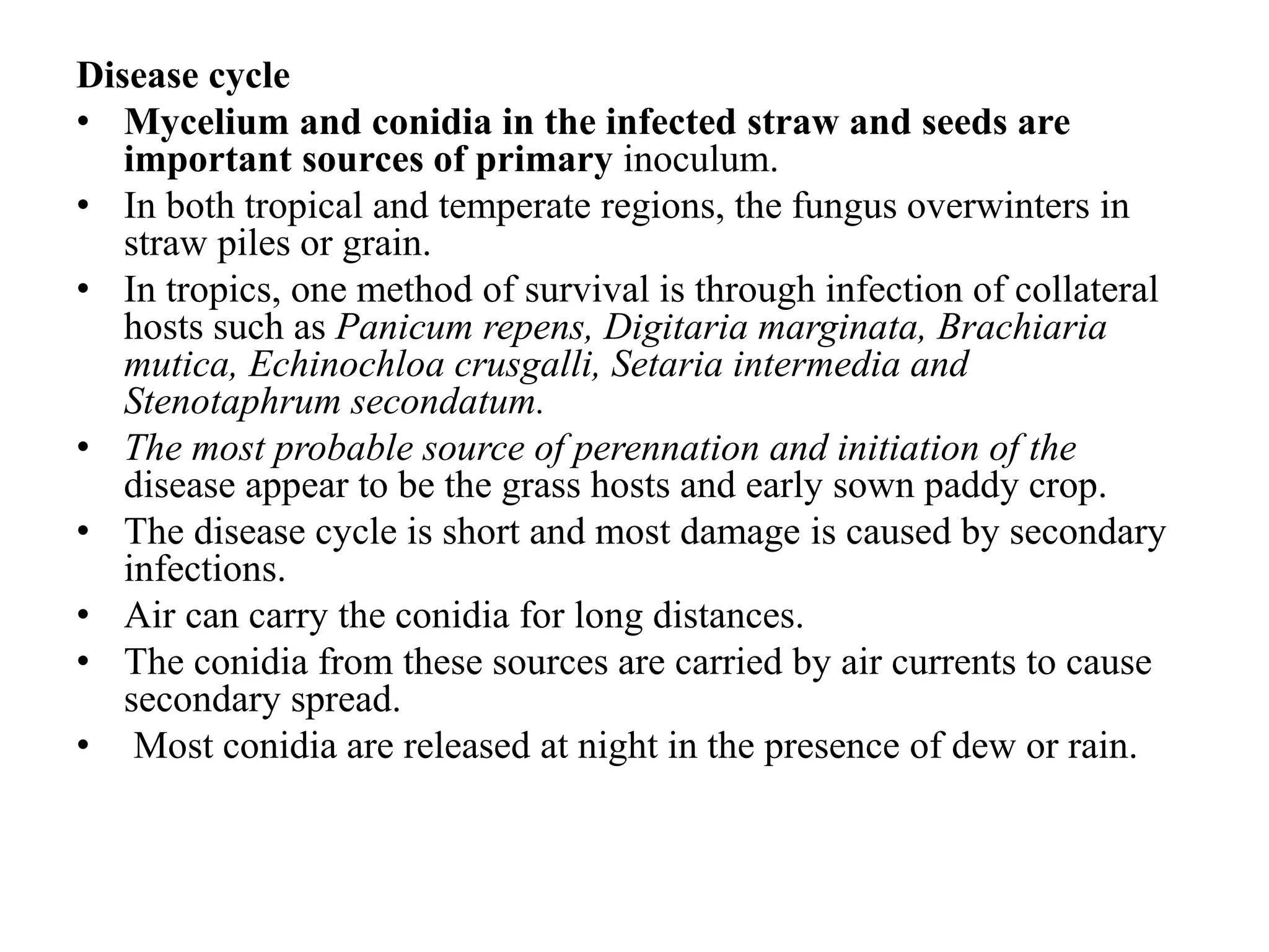 Rice blast, Rust of wheat and downy mildew | PPTX