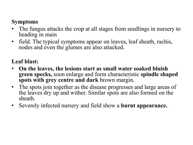 Rice blast, Rust of wheat and downy mildew | PPTX