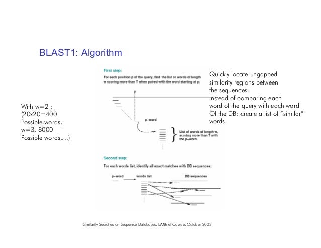 Blast Fasta