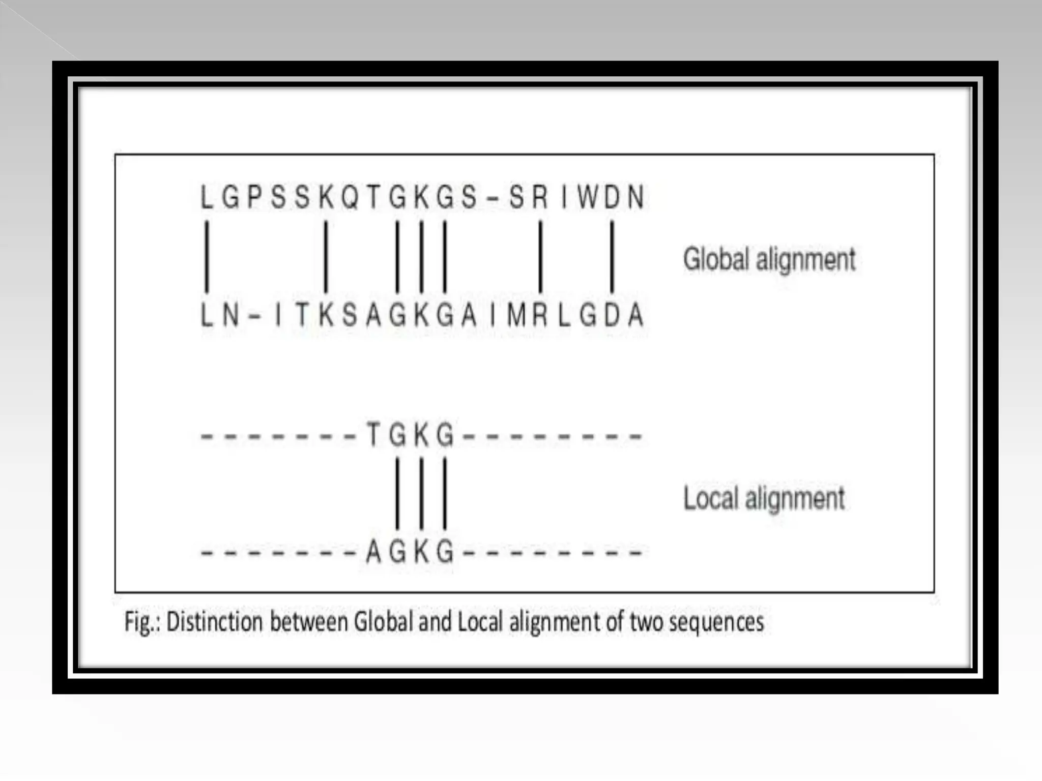 Blast and fasta | PPTX