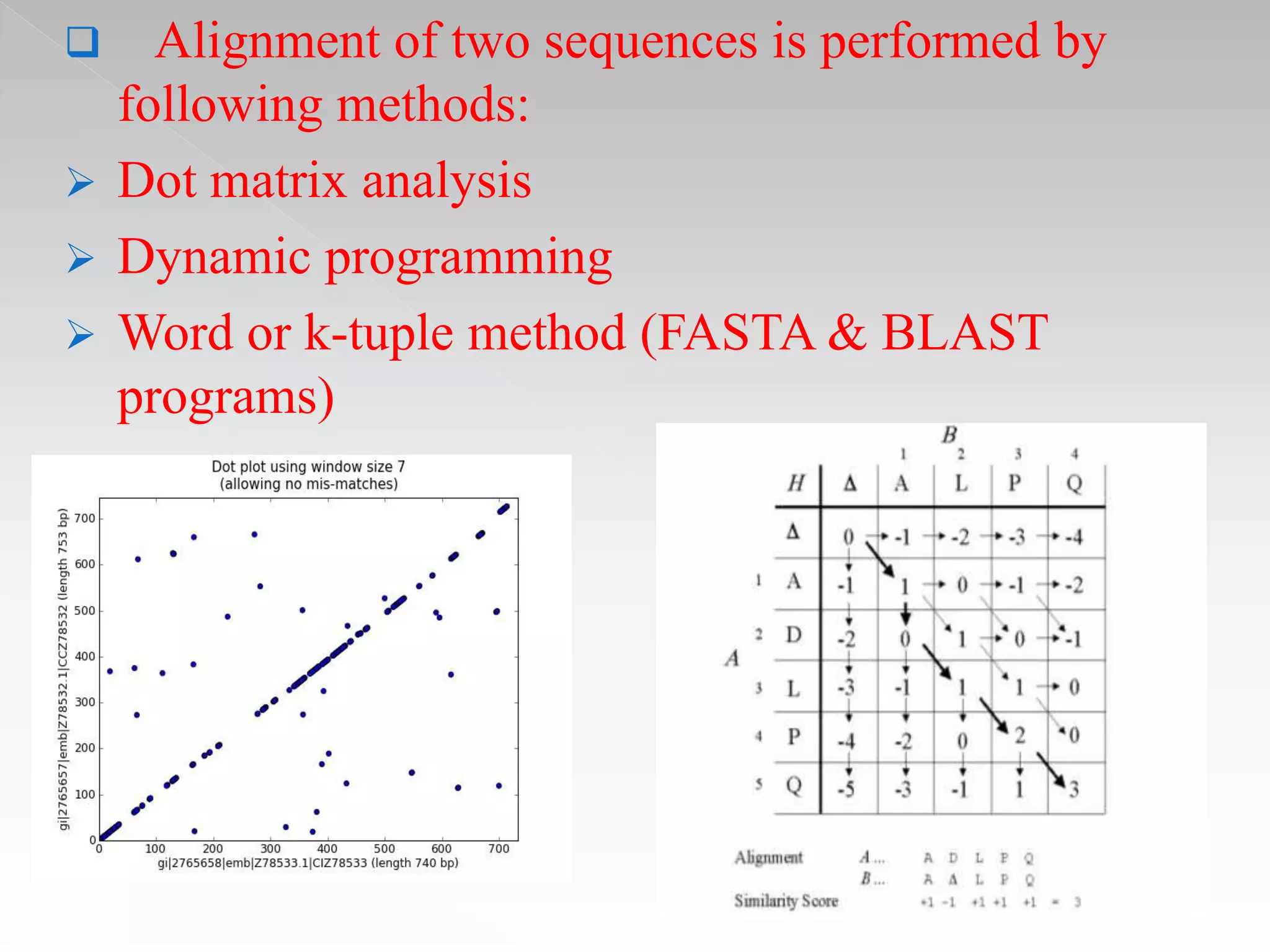Blast and fasta | PPTX