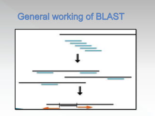 Blast and fasta | PPTX