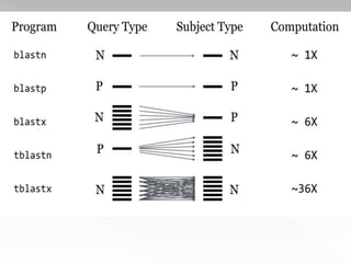 Blast and fasta | PPTX