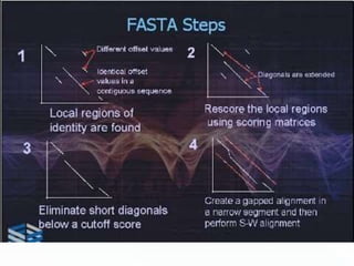 Blast and fasta | PPTX