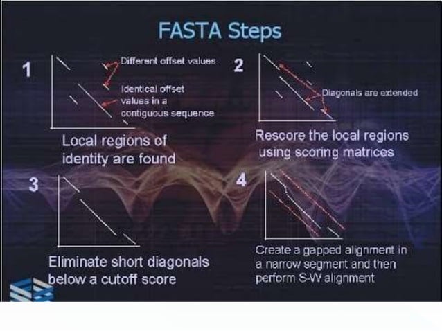 Blast And Fasta Pptx Databases Computer Software And Applications