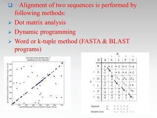 Blast and fasta | PPTX