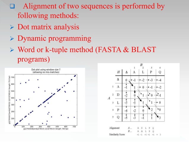 Blast and fasta | PPTX | Databases | Computer Software and Applications
