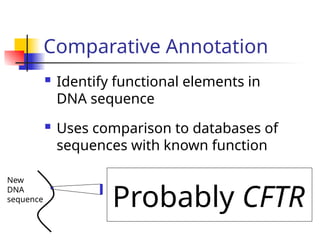 BLAST_Genomic_Sequenccce_Annotation.pptx