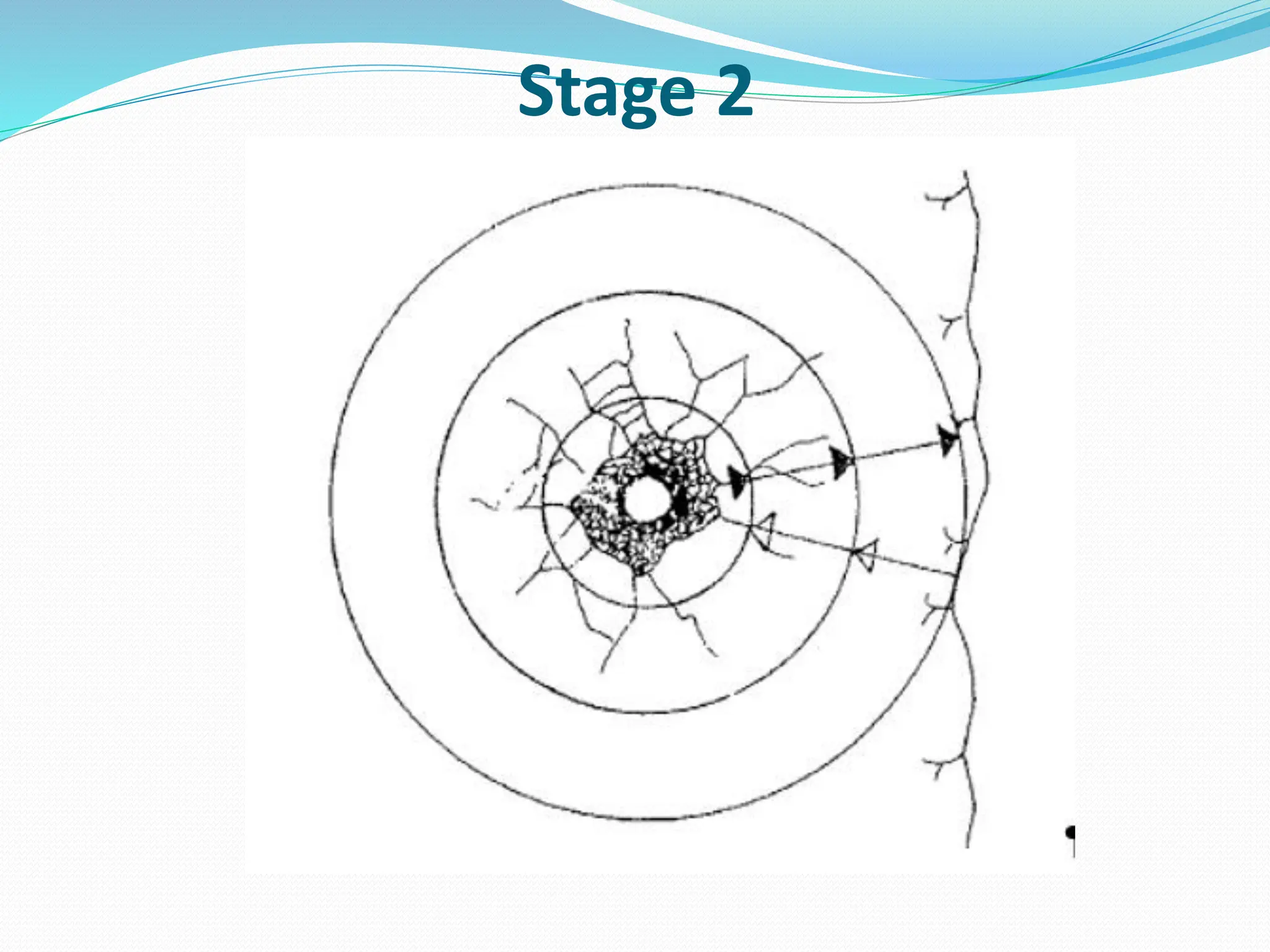 Blasting Theory_082120.pdf