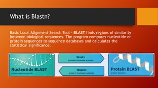 Blastn plus jupyter on Docker | PPT