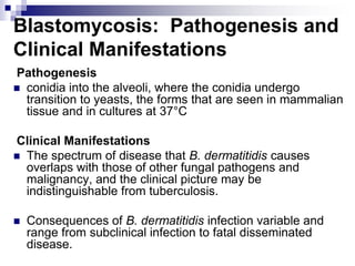 Blasto.pptx | Infectious Diseases | Diseases and Conditions