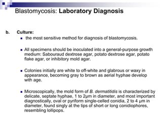 Blasto.pptx | Infectious Diseases | Diseases and Conditions