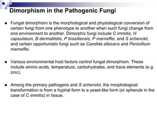 Blasto.pptx | Infectious Diseases | Diseases and Conditions