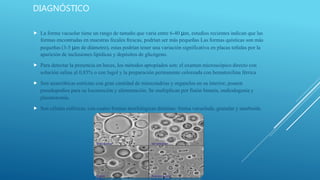Blastocistosis | PPTX