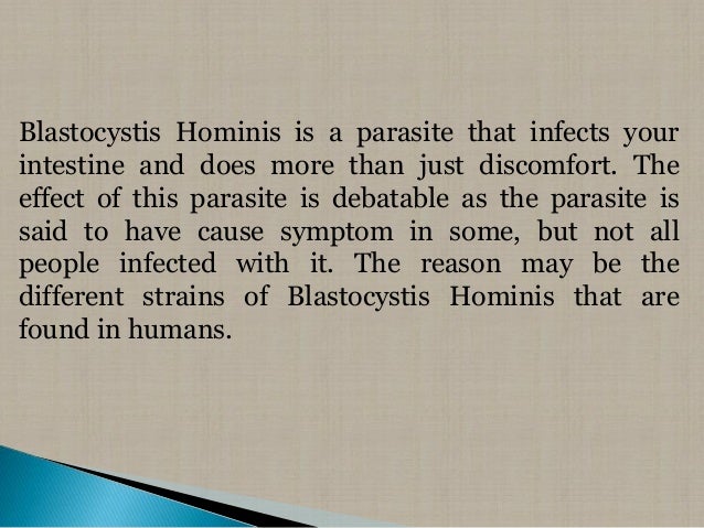 Blastocystis Hominis Treatment How To Treat The Symptoms