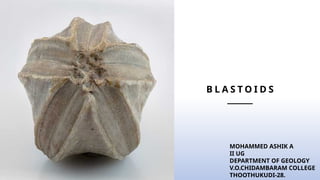 BLASTOIDS paleontology echinodermata .pptx