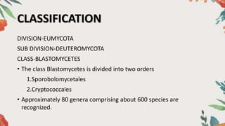 BLASTOMYCETES .pptx