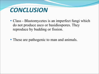 Blastomycetes 1[1] | PPT