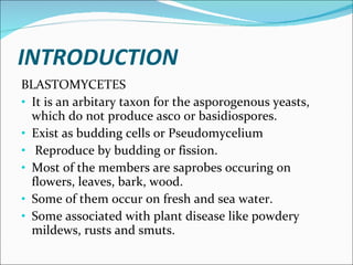Blastomycetes 1[1] | PPT