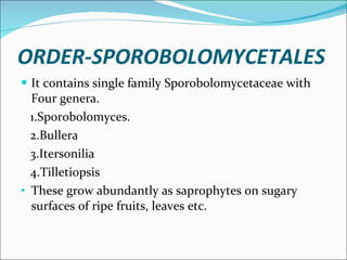 Blastomycetes 1[1] | PPT